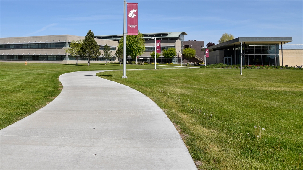 Washington State University Alumni Association - Zoom Backgrounds