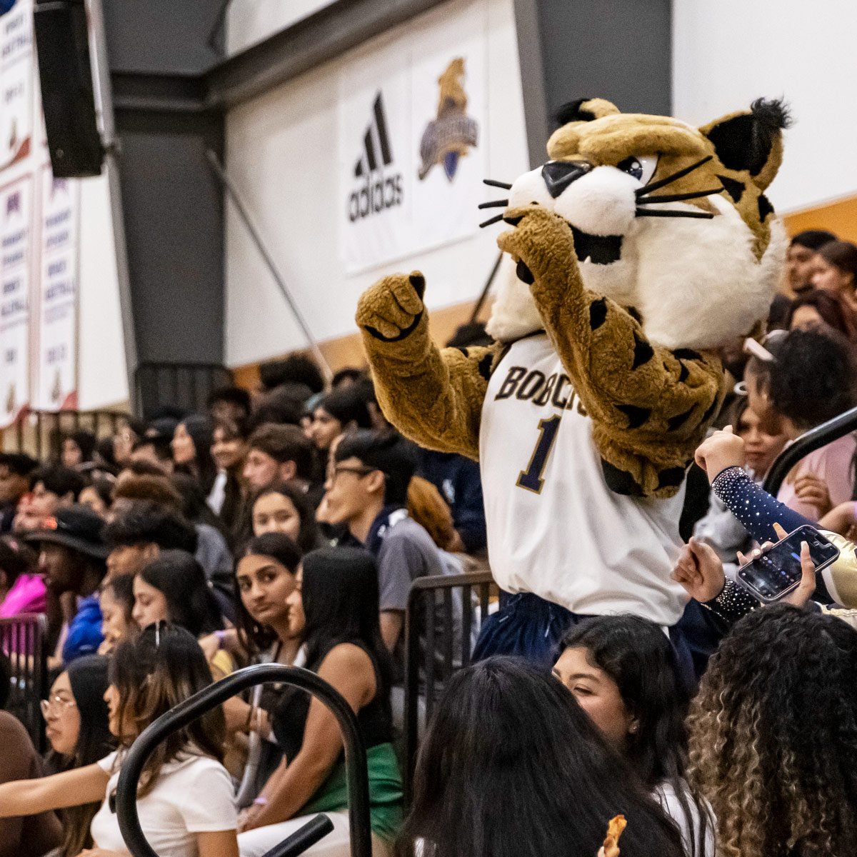 Engage at UC Merced - Bobcat Athletics – Gift Information