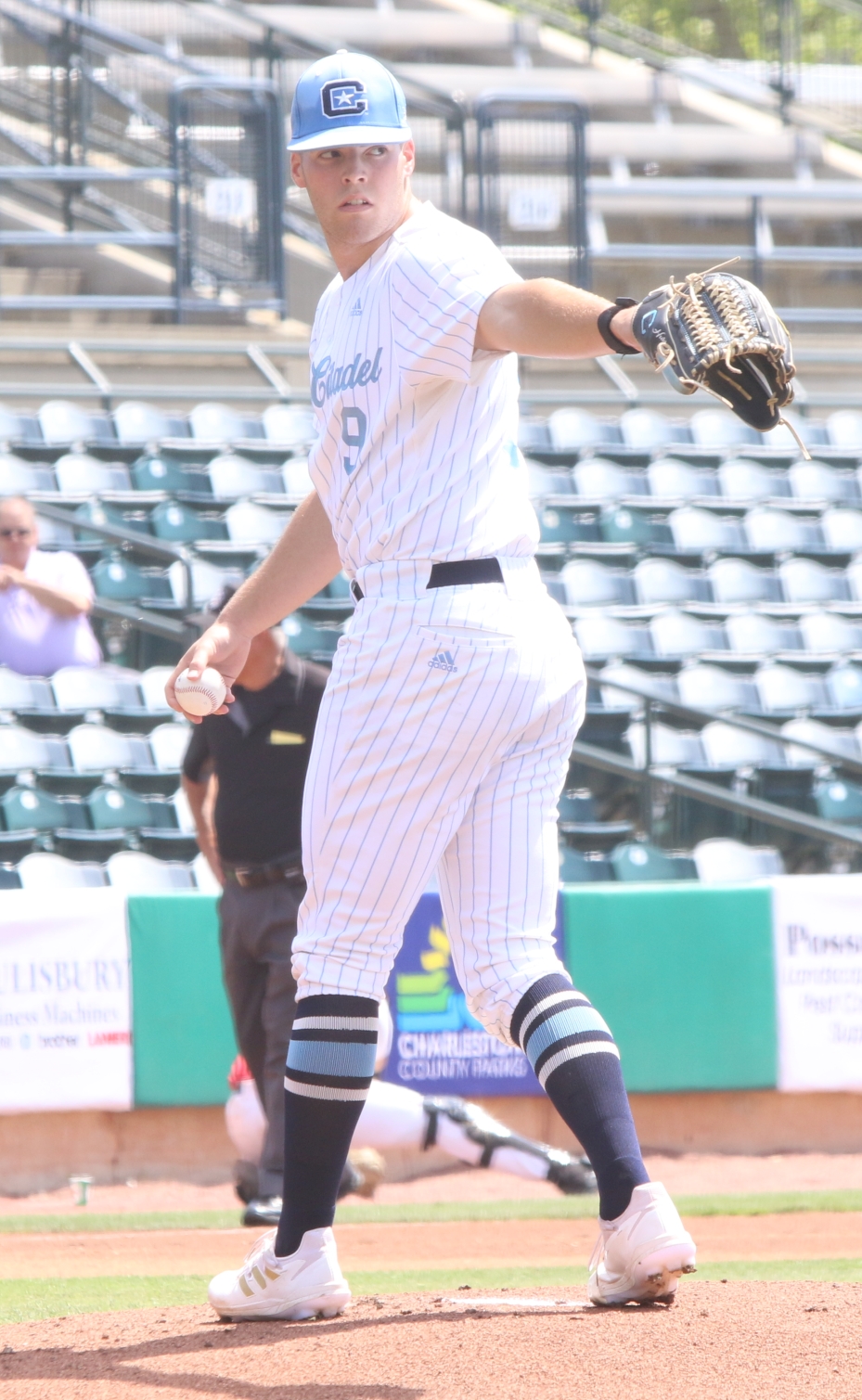 The Citadel Foundation - Diamond Dogs