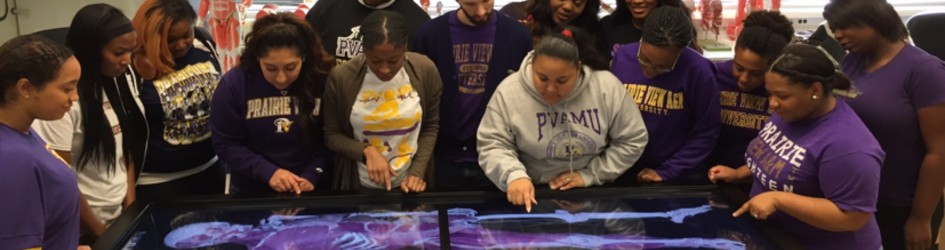 Prairie View A&M University - Student Success