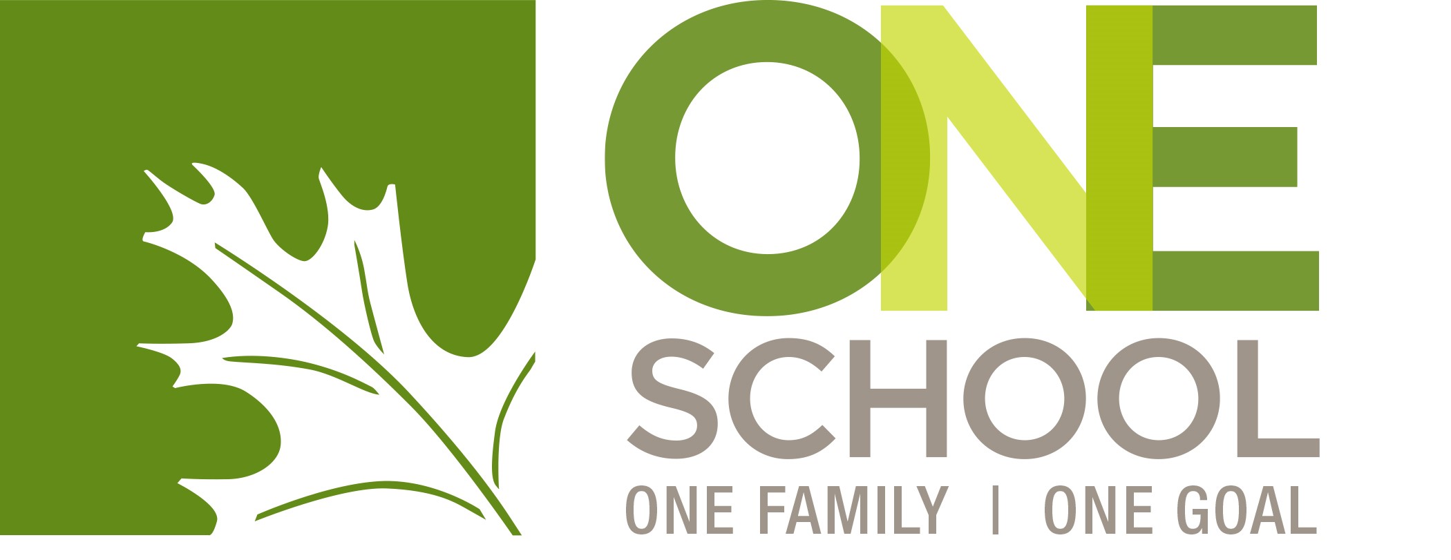 The Lexington School - One School Campaign – Gift Information